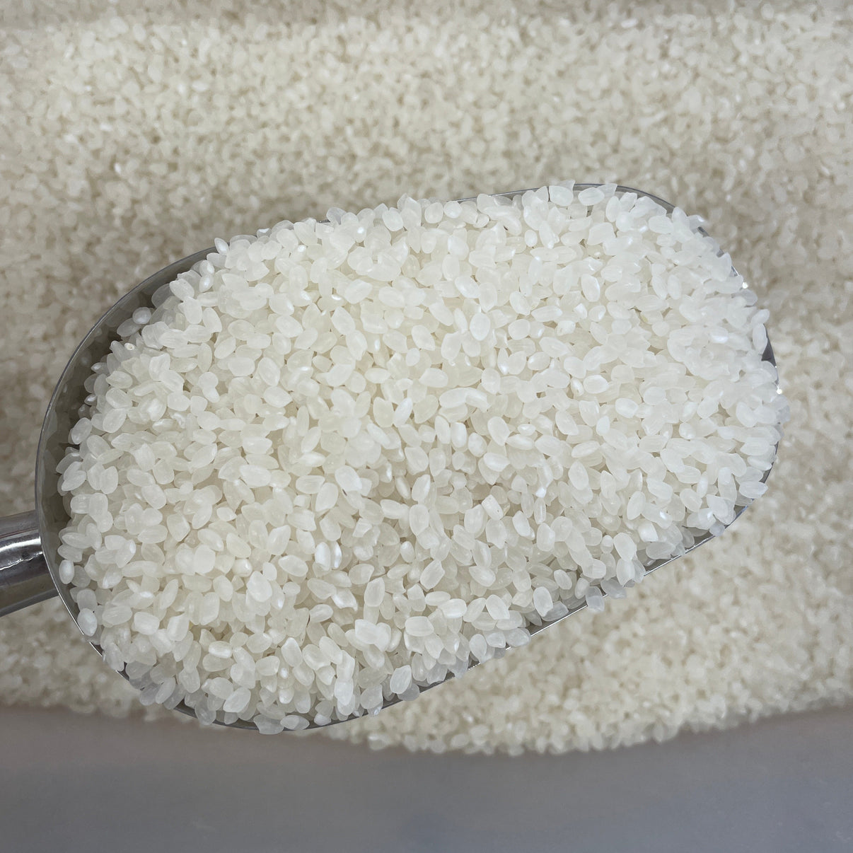 White Sushi Rice Organic - Rice - Sandringham Bulk Foods